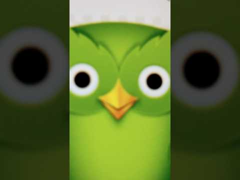 EVOLUTION OF THE DUOLINGO LOGO