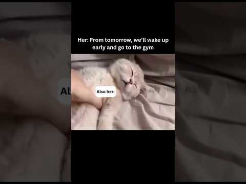 If you laugh, you restart pt 1159 | #memes