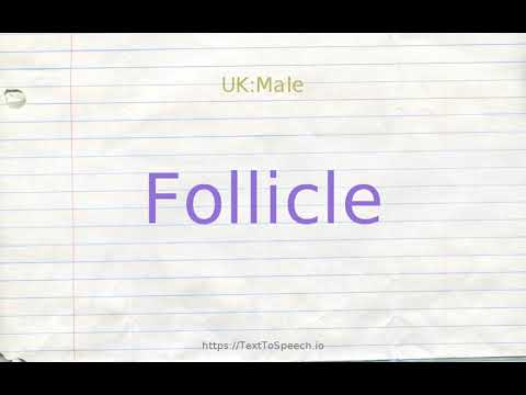 How to pronounce follicle