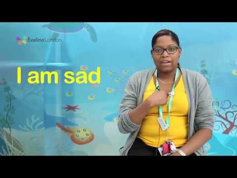 British Sign Language BSL Video Dictionary - I am sad