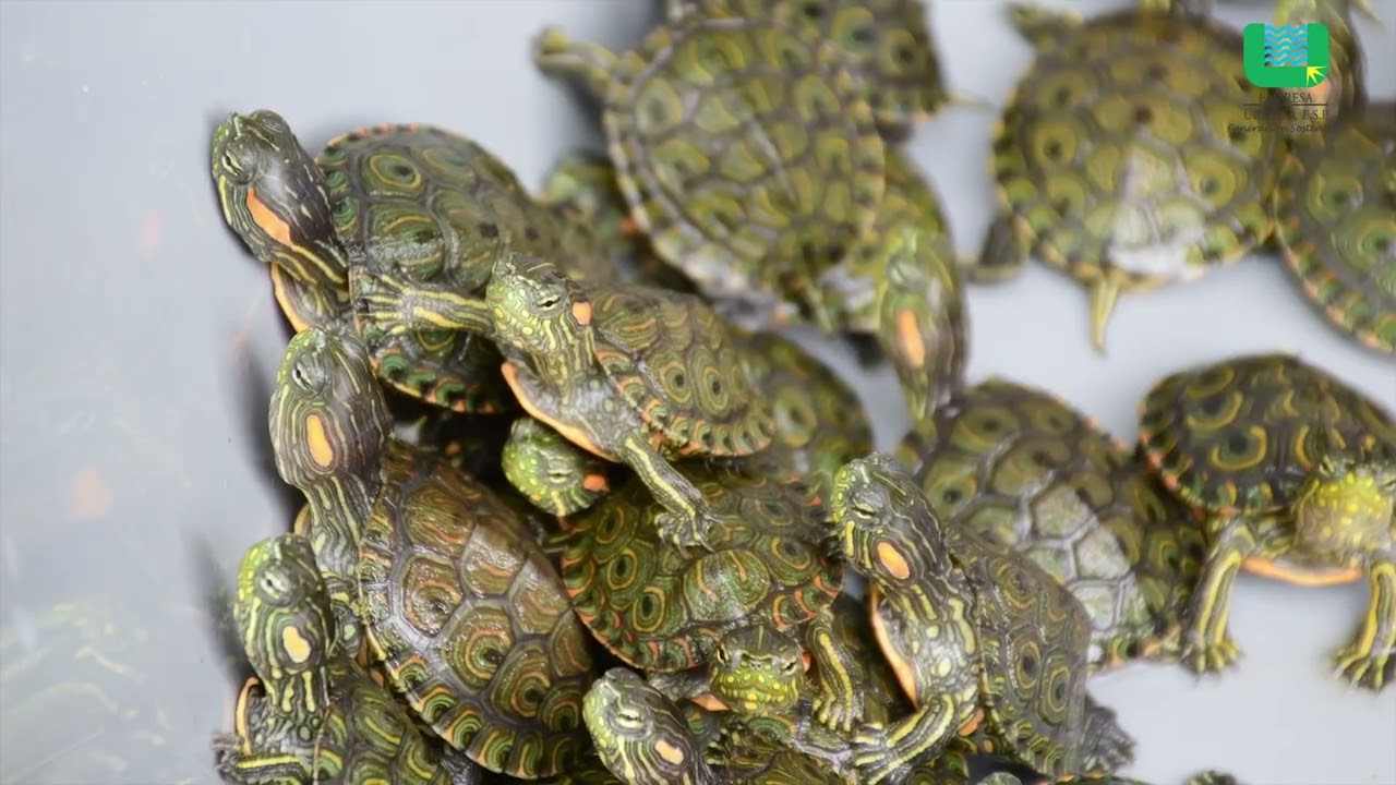 De puertas abiertas en estación ecológica Las Guartinajas – URRA