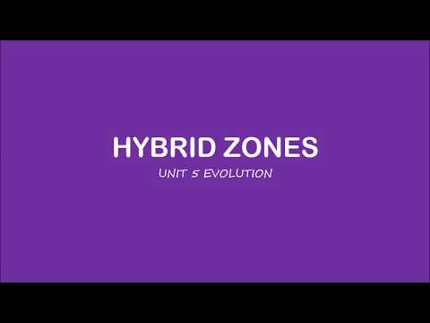 AP Biology: Hybrid Zones