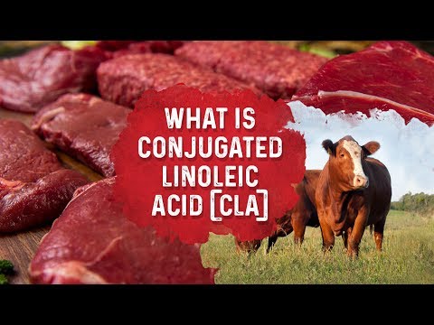 What Is Conjugated Linoleic Acid? – Dr. Berg
