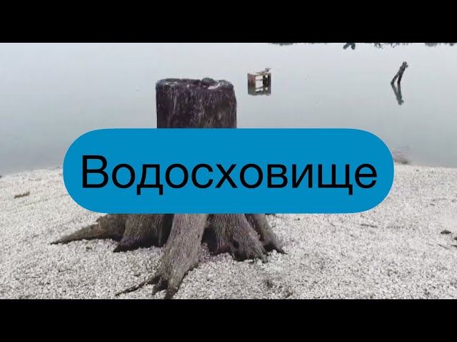 Shallowing of Oskol Reservoir, Ukraine: Causes, Consequences, and Solutions