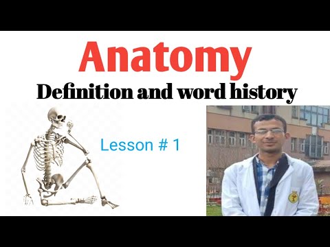 Introduction To Anatomy In Urdu | Branches Of Anatomy | Anatomical Positions | definition of anatomy