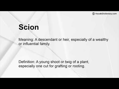 Scion Meaning