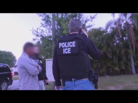 Immigration 101: Understanding U.S. immigration agencies