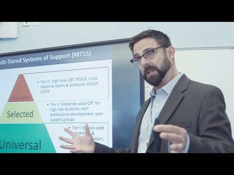 CDC's Core SVIPP and ICRCs: Partnering to Promote Safer Communities