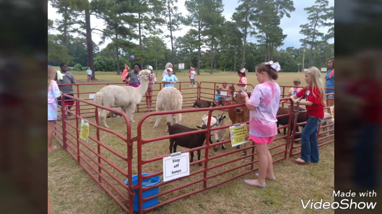 Hire Carolina Fun Factory - Children’s Party Entertainment in ...