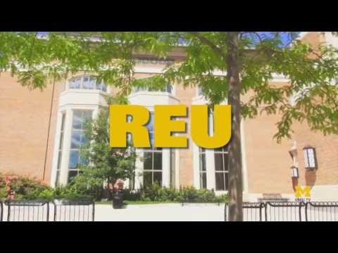 Research Experience for Undergraduates at UMSI