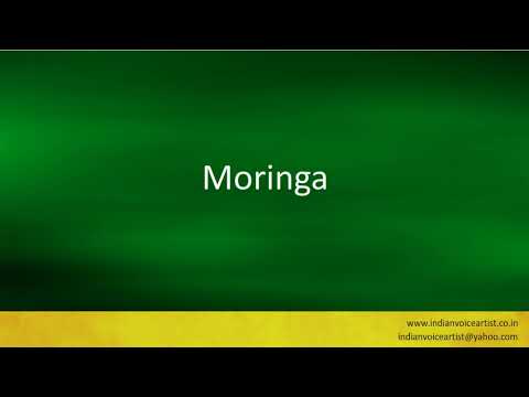 Pronunciation of the word(s) "Moringa".