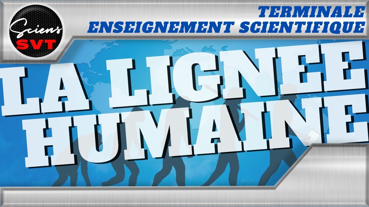 LA LIGNEE HUMAINE : PARENTES ET TENDANCES EVOLUTIVES