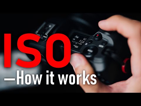 Understand Camera ISO in 2 MINUTES!