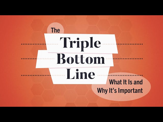 Understanding the Triple Bottom Line: Profit, People, and Planet in ...