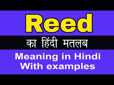Reed Meaning in Hindi/ Reed ka Matlab kya Hota hai
