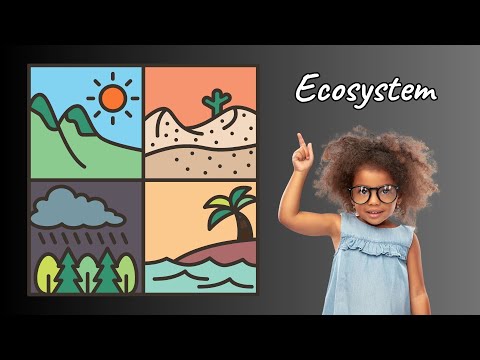 Ecosystem, Science for Kids