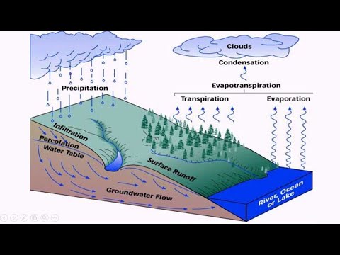 Groundwater & Surface Runoff