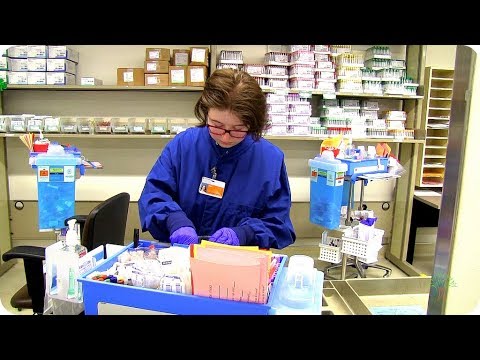 Project SEARCH provides real-life work experience