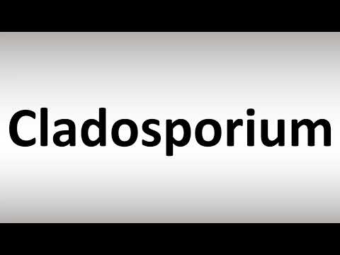 How to Pronounce Cladosporium