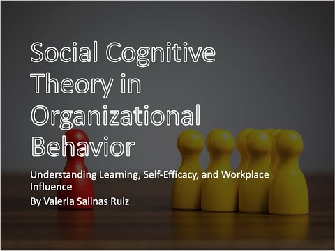 Social Cognitive Theory