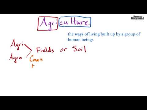 Agriculture Definition for Kids