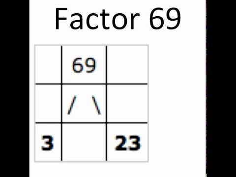 Factor A 69