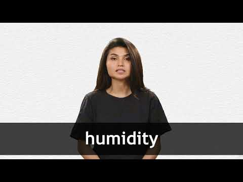 HUMIDITY definition and meaning | Collins English Dictionary