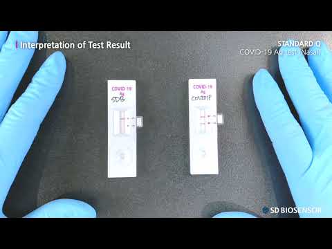 Corona Test Kit - SD Biosensor Antigen Standard Q Covid-19 AgTest Kit ...