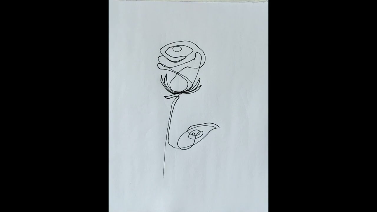Learn how to draw a rose in one line