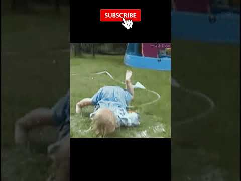 Take a break to watch some funny gifs! 13♪ #funny #comedy #memes