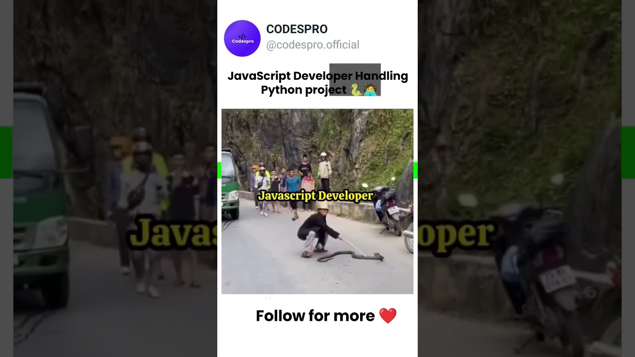 JavaScript Dev #coding #python #programming #javascript  #memes #developer