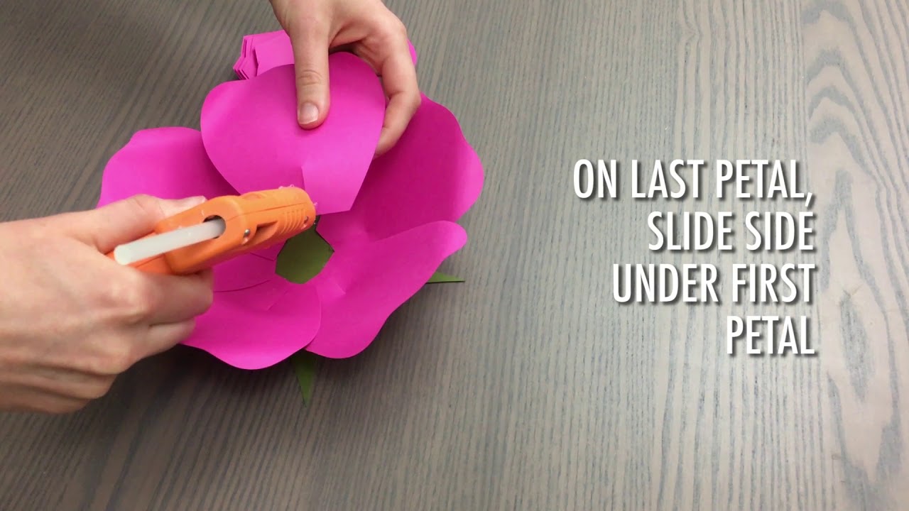 Making a Wild Rose
