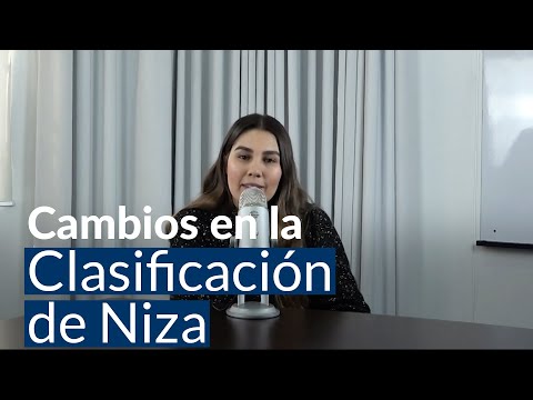 Clasificación Internacional de Niza