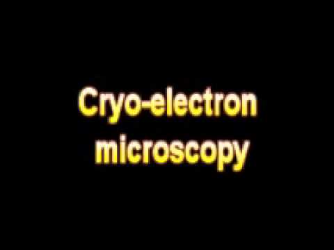 What Is The Definition Of Cryo electron microscopy - Medical Dictionary Free Online