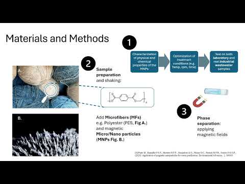 Magnetic Nanoparticles for Microfiber Removal in Effluents Serena Benedetta Cabigliera