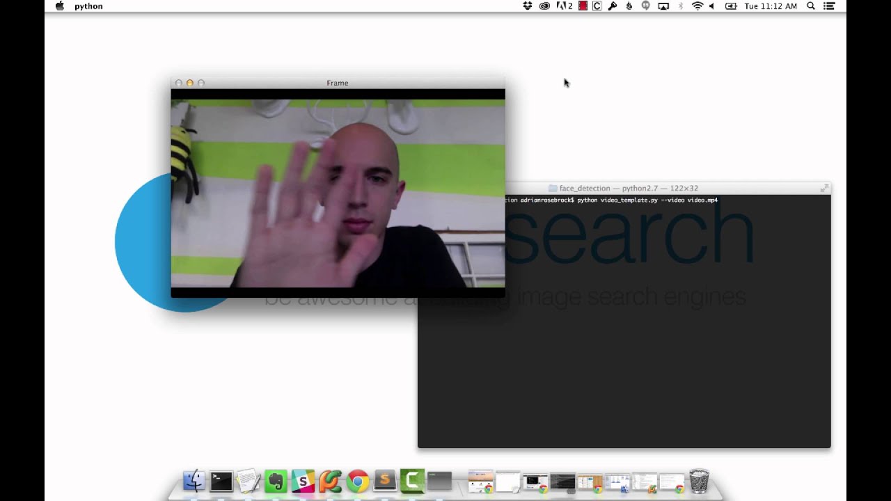 Reading frames from a video file using Python and OpenCV