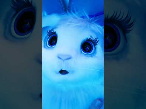 animation 60fps cute Bunny whatsapp status