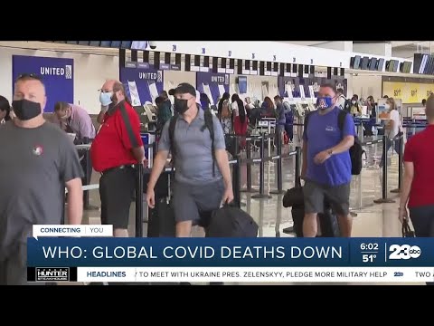 WHO: Global COVID deaths down