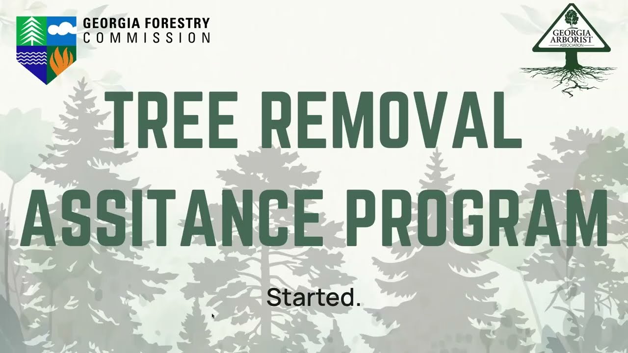 Tree Removal Assistance Program Informational Session and Q&A