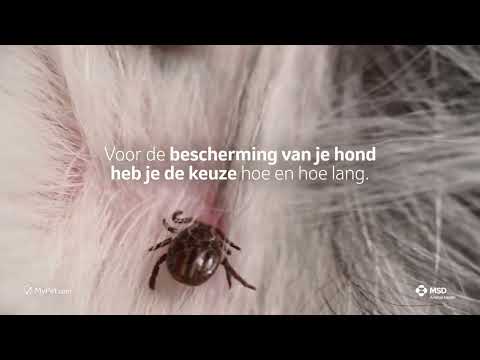 Ik ben beschermd. En die van jou?