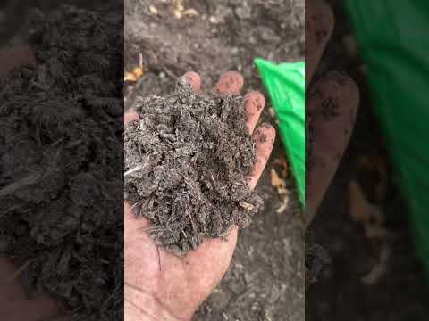 Is Miracle Grow Garden Soil a BAD Choice for your Raised Bed!? #gardening #viral #fyp #wow #growing