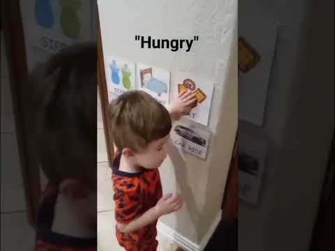 Child with nonverbal autism uses picture visuals to communicate