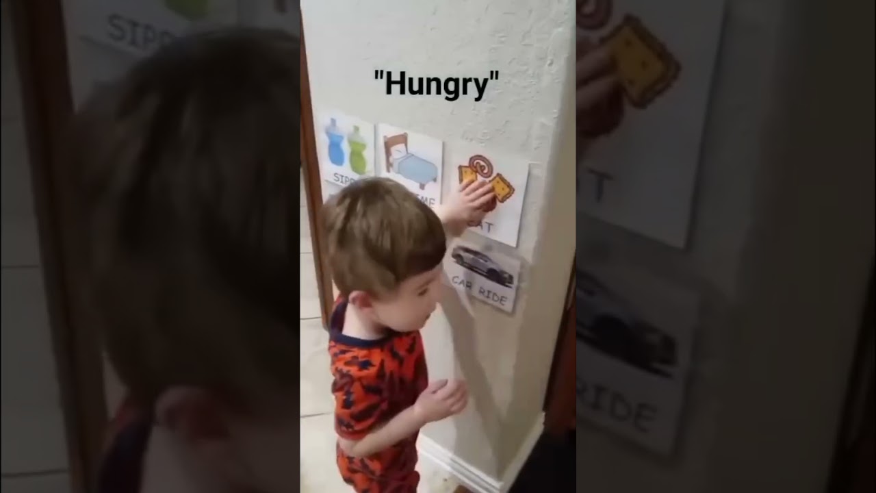 Child with nonverbal autism uses picture visuals to communicate