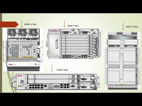 Cisco Module - Ciena NTK539UH OME 6500 100G LINE CARD Manufacturer from ...