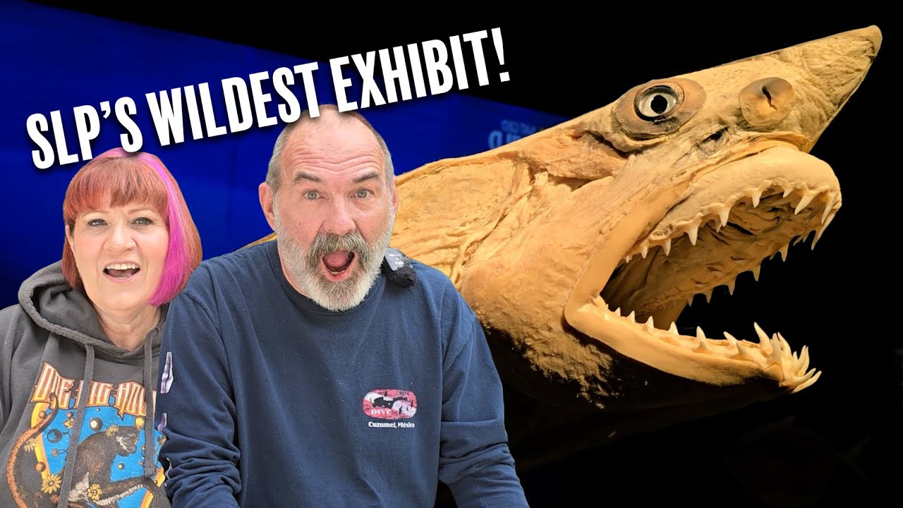 Tangamanga Park & the Wildest Science Museum in SLP!