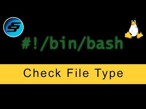 Check File Type (file) - Bash Scripting