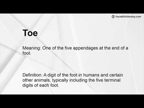 Toe Meaning