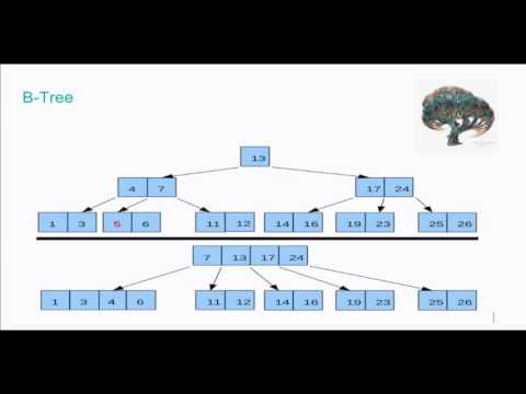 Learn B Trees Fractal Trees Heaps and Log Structured Merge Trees Where did they all come from ...
