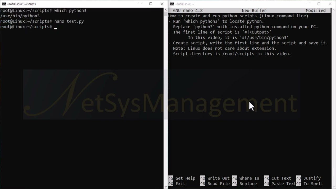 NetSysManagement - How to create and run python scripts (Linux command line)