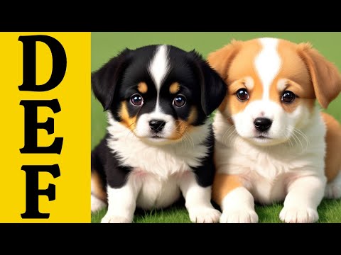 Animals Starting With D & E & F Learn Animal Words That Start With Letters D, E, and F